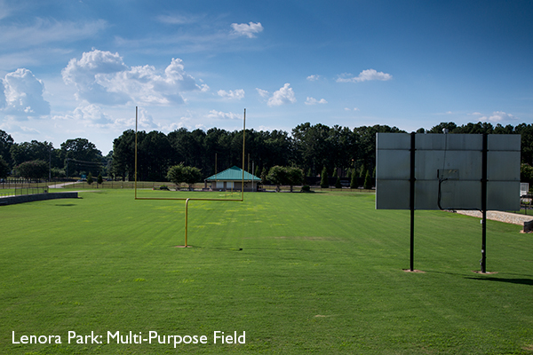 Gwinnett County Parks